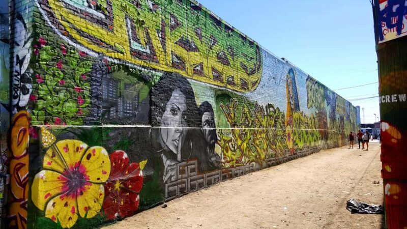 Los Angeles: Private Alley Adventure Graffiti Bike Tour - Detailed Review of the Los Angeles Graffiti Bike Tour