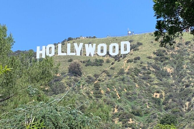Los Angeles Private Tour - Exploring Los Angeles with a Private Tour: A Review