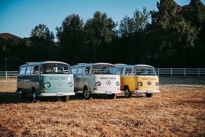 Los Angeles: Private Vintage VW Bus Tour in Malibu - Authenticity and Comfort in a Vintage Vehicle