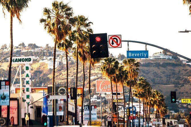 Los Angeles Street Art Private Walking Tour With A Guide - An In-Depth Look at the LA Street Art Tour