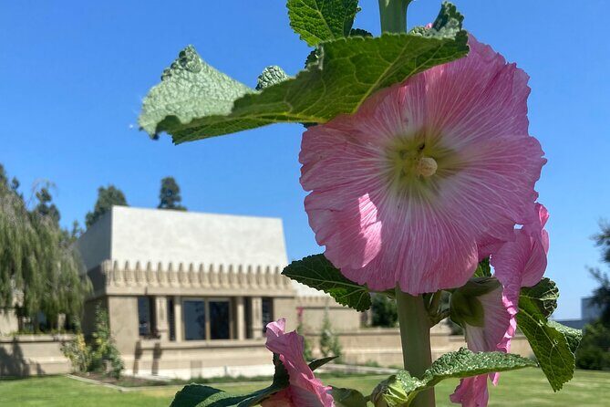 Los Angeles Taco Tour - Key Points