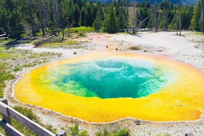 Los Angeles to Las Vegas Yellowstone National Park 7 Day Tour - The Sum Up