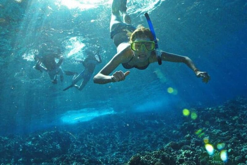 Los Arcos: Snorkel Tour in Los Arcos and Madagascar - Quality and Authenticity of the Experience