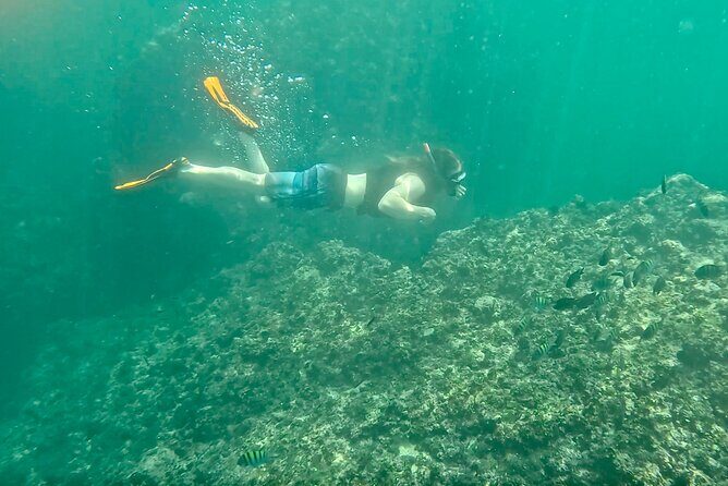 Los Arcos Snorkeling & 5 Island Adventure - The Sum Up