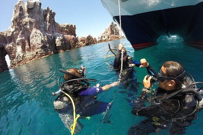 Los Cabos 1 tank dive to Lands End (Certified Divers) - An In-Depth Look at the Experience