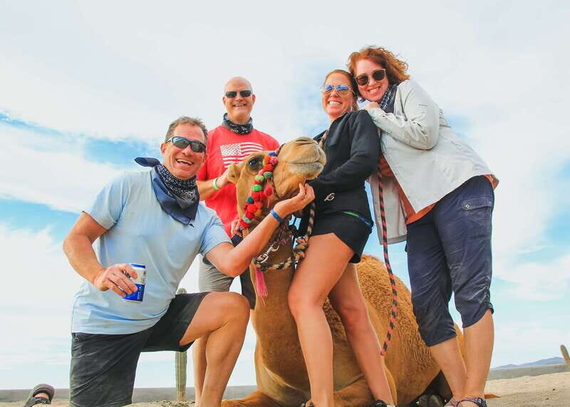 Los Cabos: 2 in 1 Combo Tour - Key Points