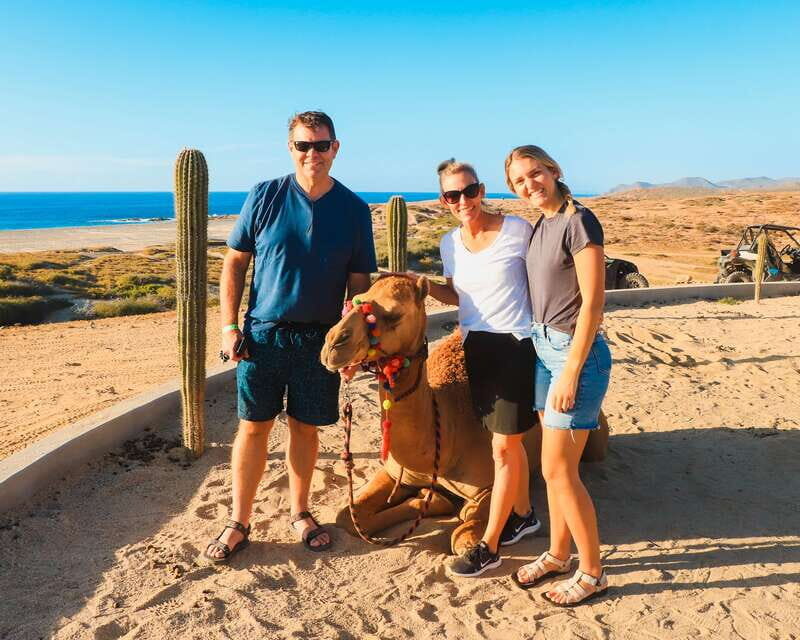 Los Cabos: 2 in 1 Combo Tour - What to Expect from the Tour