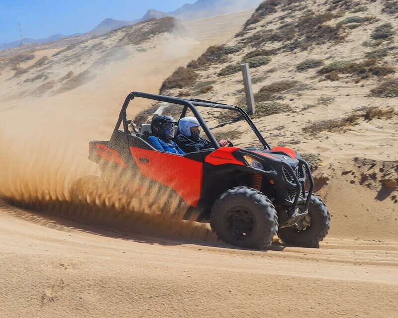 Los Cabos: 2 in 1 Combo Tour - Authentic Experiences and Real Insights