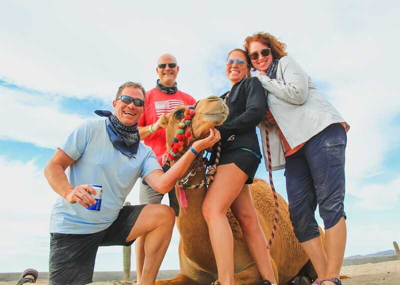 Los Cabos: 2 in 1 Combo Tour - Final Thoughts: Who Is This Tour Best For?
