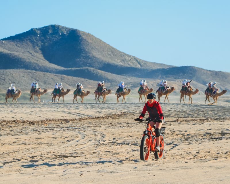 Los Cabos: 2 in 1 Combo Tour - FAQ
