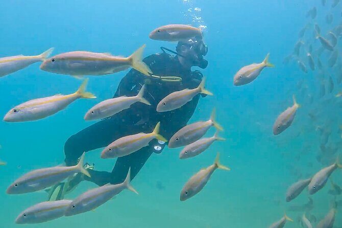 Los Cabos 2 tanks dive to The Corridor (Certified divers) - The Sum Up: Is It Worth It?