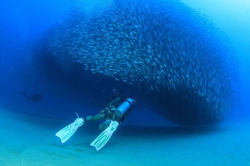 Los Cabos 3-Hour Certified Scuba Diving Tour - FAQ