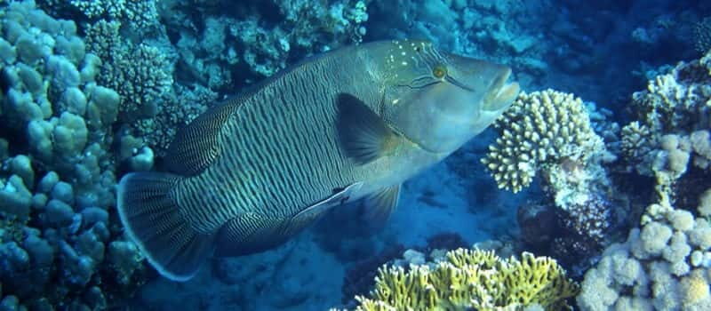 Los Cabos: 3-Hour Introductory Scuba Diving Adventure - Logistics and Practical Details