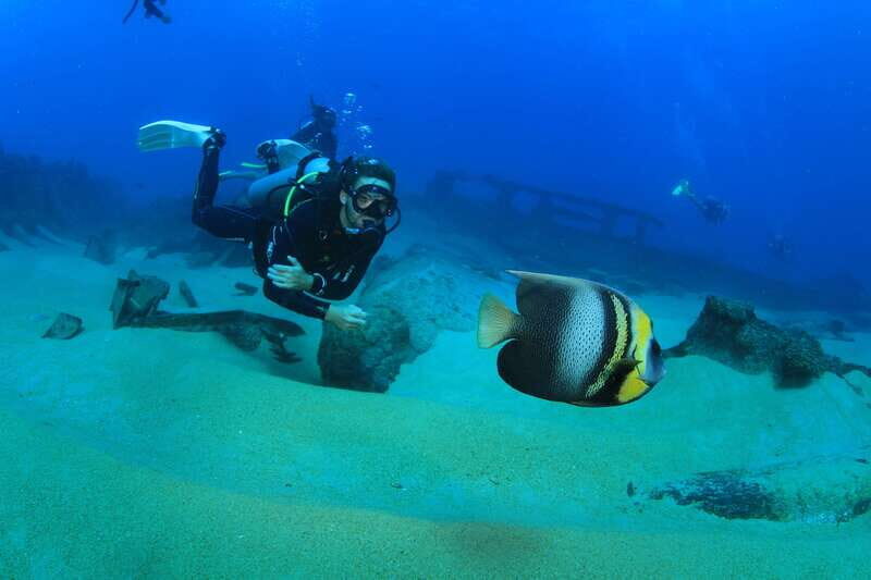 Los Cabos: 3-Hour Introductory Scuba Diving Adventure - What Past Participants Say