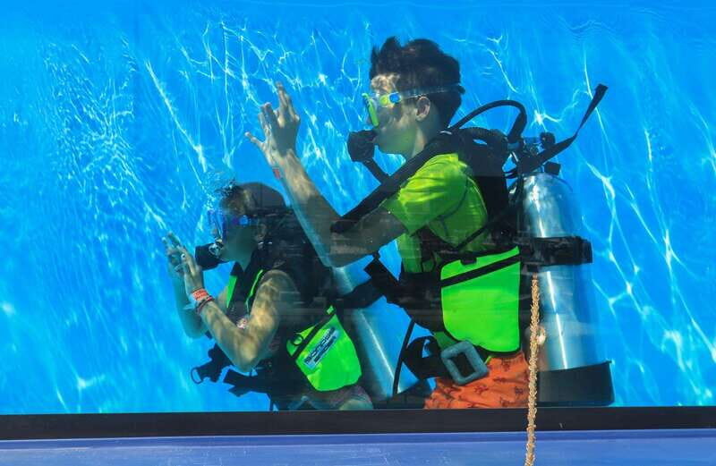 Los Cabos: 3-Hour Introductory Scuba Diving Adventure - Final Thoughts