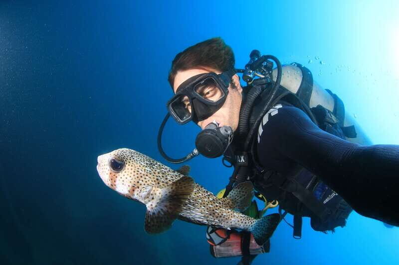 Los Cabos: 3-Hour Introductory Scuba Diving Adventure - Frequently Asked Questions