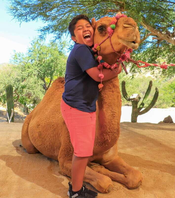 Los Cabos: Adventure Pass at Wild Canyon - FAQ