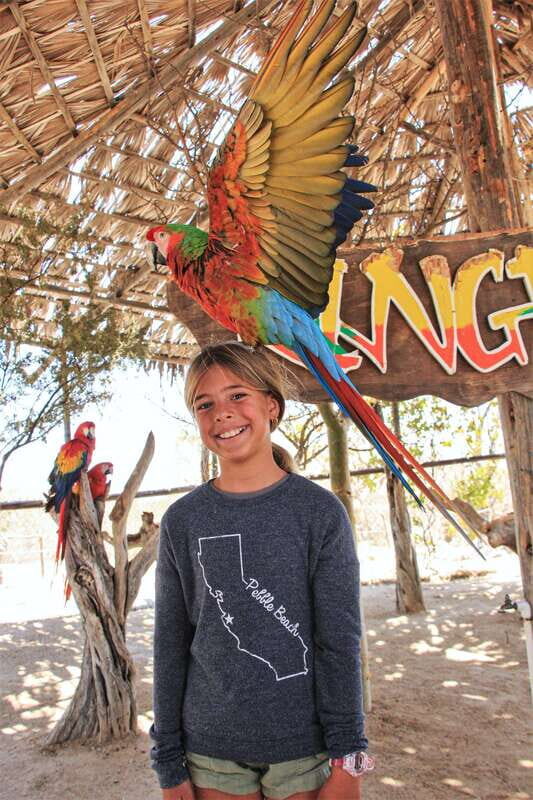 Los Cabos: Animal Encounter & Aqua Park Adventure - Analyzing the Value