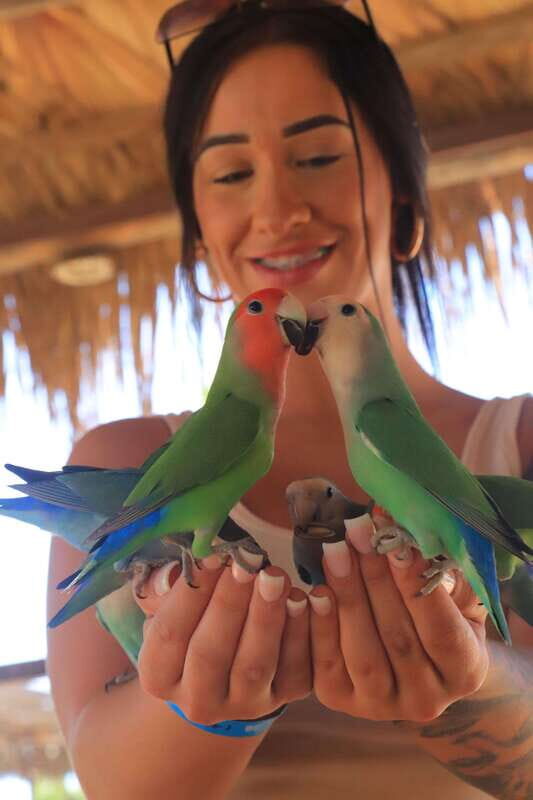 Los Cabos: Animal Encounter & Aqua Park Adventure - Final Thoughts: Is This Tour Worth It?