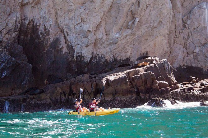 Los Cabos Arch and Playa del Amor Tour by Glass Bottom Kayak - Frequently Asked Questions