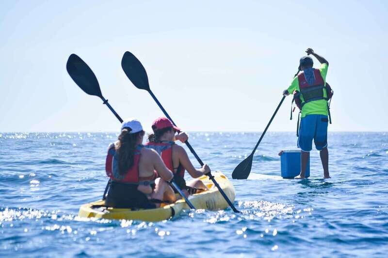 Los Cabos Arch & Playa del Amor Tour by Glass Bottom Kayak - Final Thoughts: Who Will Love This Tour?