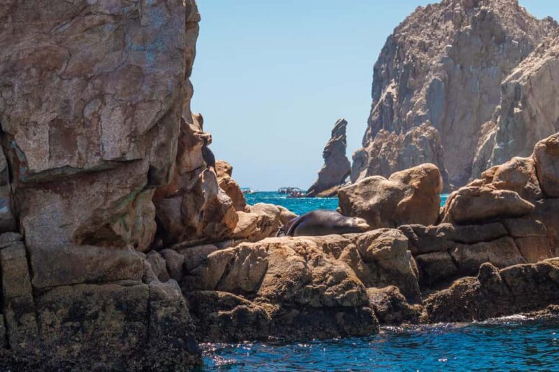 los cabos arch tour & drinks +snorkel tour - Introduction to the Experience