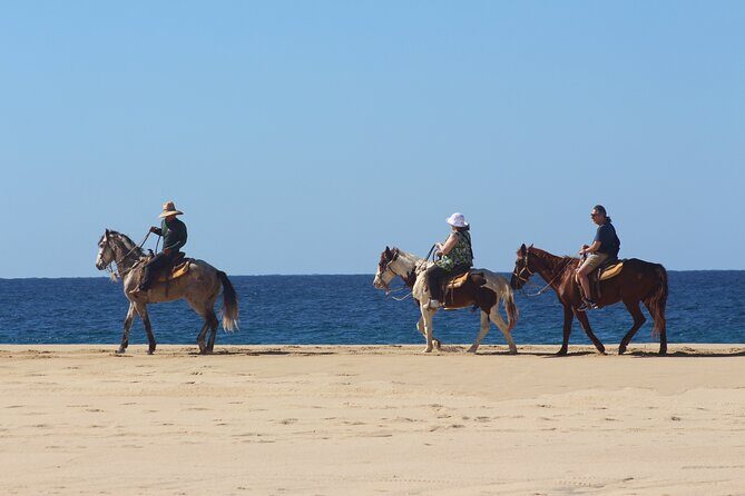 Los Cabos ATV and Pacific Horseback Riding Combo Tour - FAQ