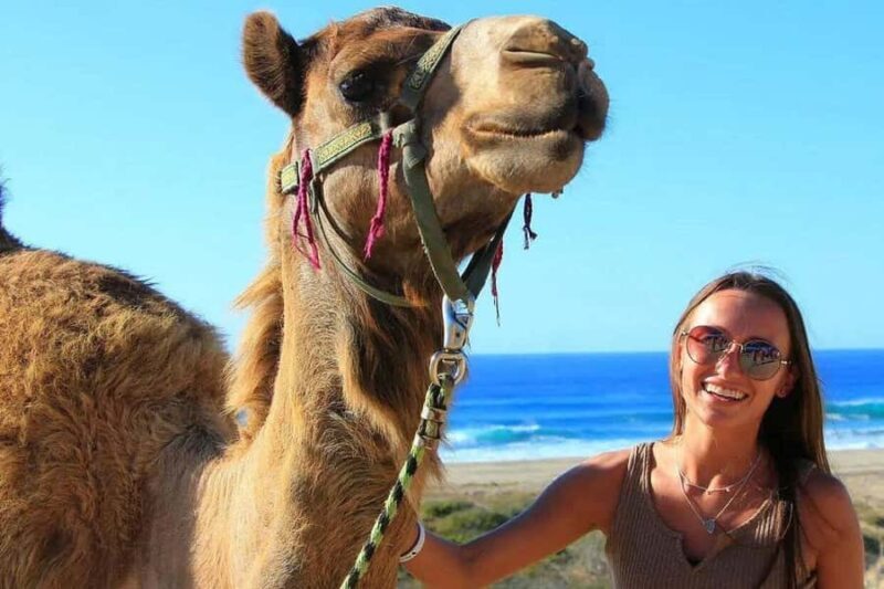 Los Cabos: ATV, Camel, and Sky Bike Tour with Tequila - An Honest Look at the Experience