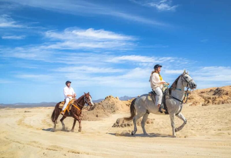 Los Cabos: ATV, Camel, and Sky Bike Tour with Tequila - Potential Drawbacks and Considerations