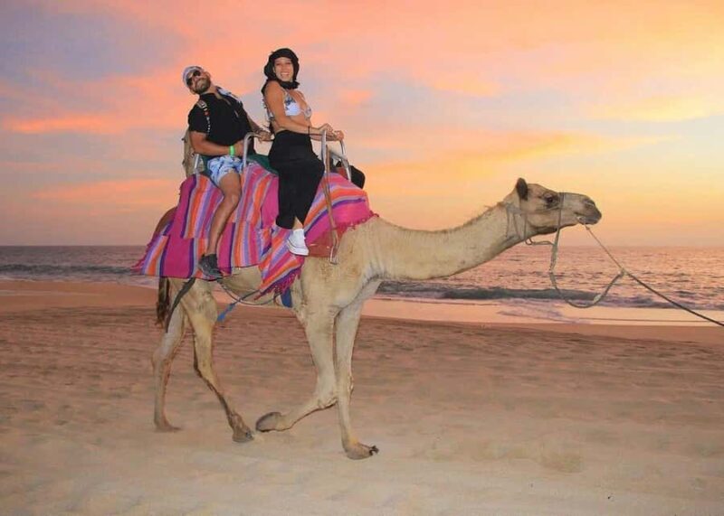 Los Cabos: ATV, Camel, and Sky Bike Tour with Tequila - Who Would Enjoy This Tour?