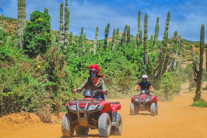 Los Cabos ATV Tour Double Rider - The Experience and Guides