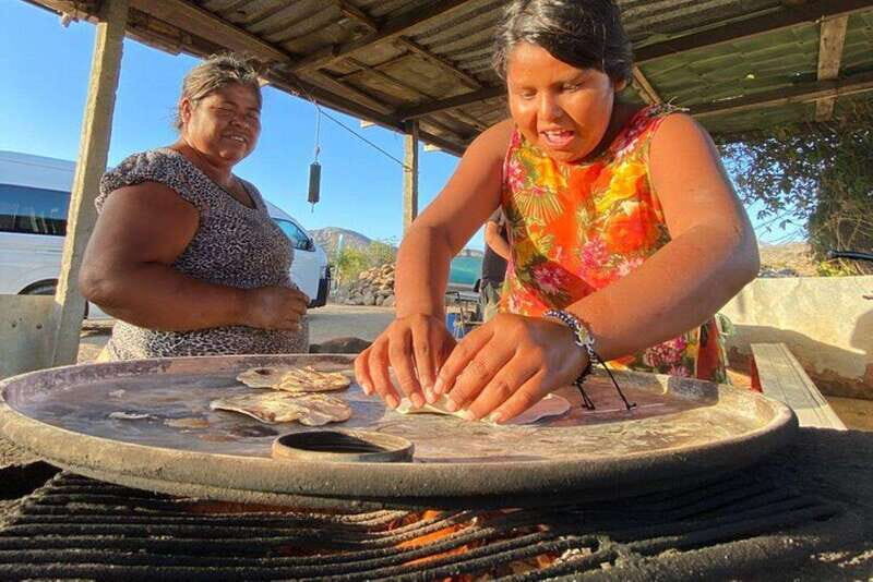 Los Cabos: Azteca Cactus Taco Farm to Table Cooking Class - An In-Depth Look at the Experience