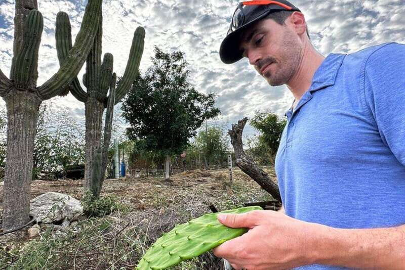 Los Cabos: Azteca Cactus Taco Farm to Table Cooking Class - The Value of This Experience