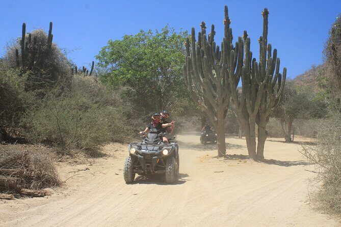 Los Cabos Beach & Desert Tour in Automatic ATV + Tequila Tasting - FAQ