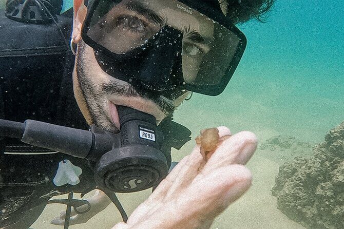 Los Cabos Beginner Scuba Dive Experience - FAQ