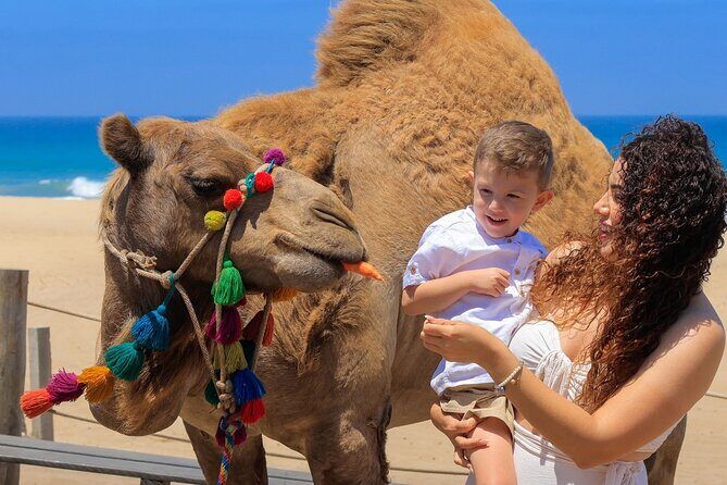 Los Cabos Camel Ride and Tequila Tasting Experience - Who Should Consider This Tour?