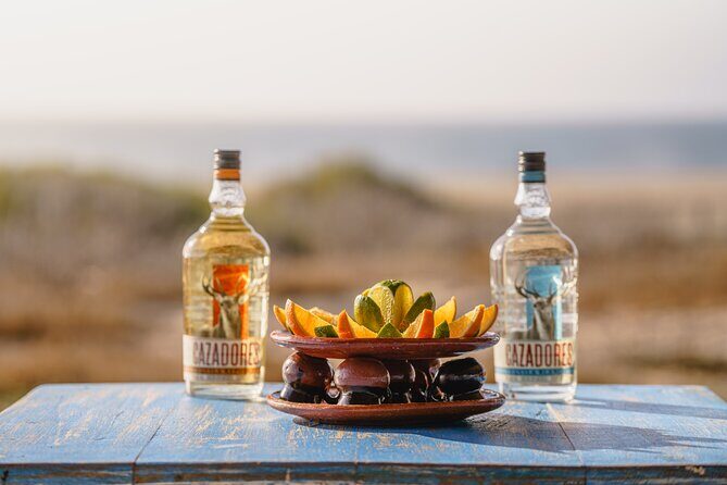 Los Cabos Camel Ride and Tequila Tasting Experience - FAQ