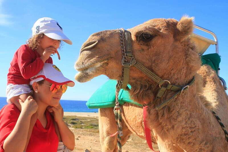 Los Cabos: Camel Ride Safari with Lunch and Tequila Tasting - What to Expect From This Tour