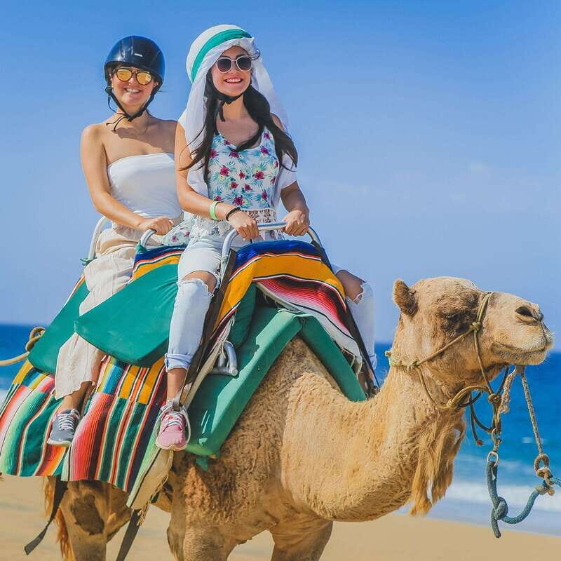 Los Cabos: Camel Ride Safari with Lunch and Tequila Tasting - Who Should Consider This Tour?