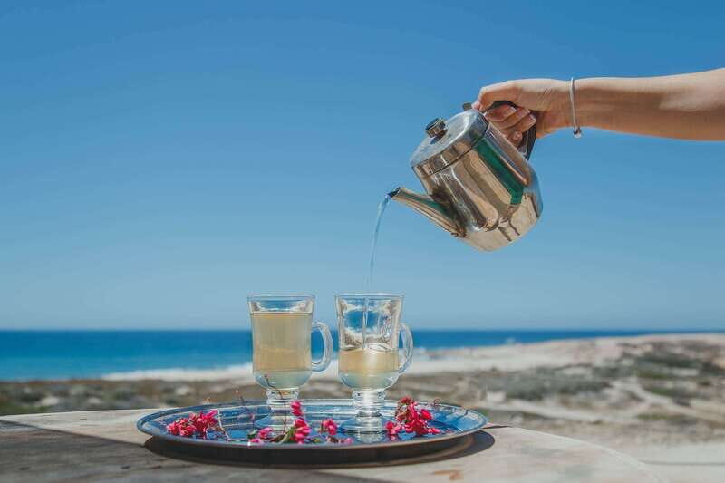 Los Cabos: Camel Ride Safari with Lunch and Tequila Tasting - Final Thoughts