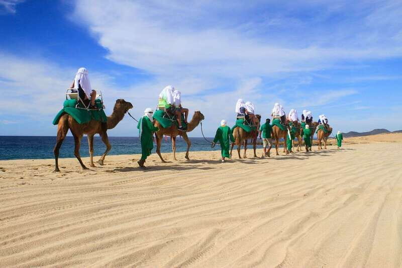 Los Cabos: Camel Ride Safari with Lunch and Tequila Tasting - FAQ