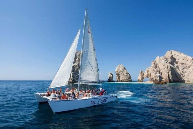 Los Cabos: Catamaran Whale Watching Cruise - Who This Tour Suits Best