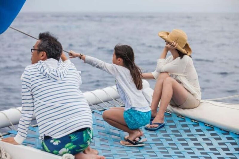 Los Cabos: Catamaran Whale Watching Cruise - Final Thoughts: Who Should Book This?
