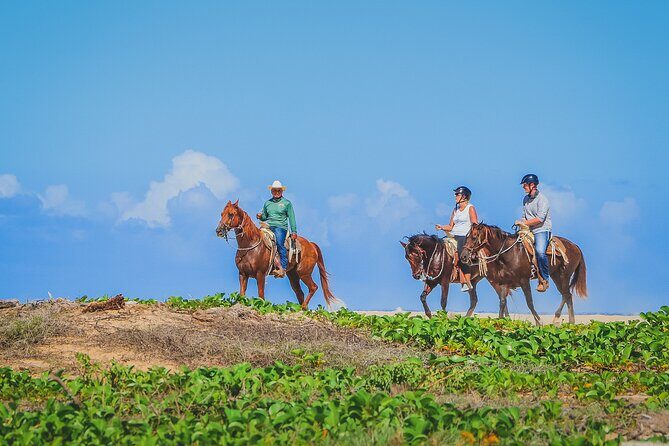 Los Cabos Combo: ATV + Horseback Riding - FAQs about the ATV + Horseback Riding Combo Tour