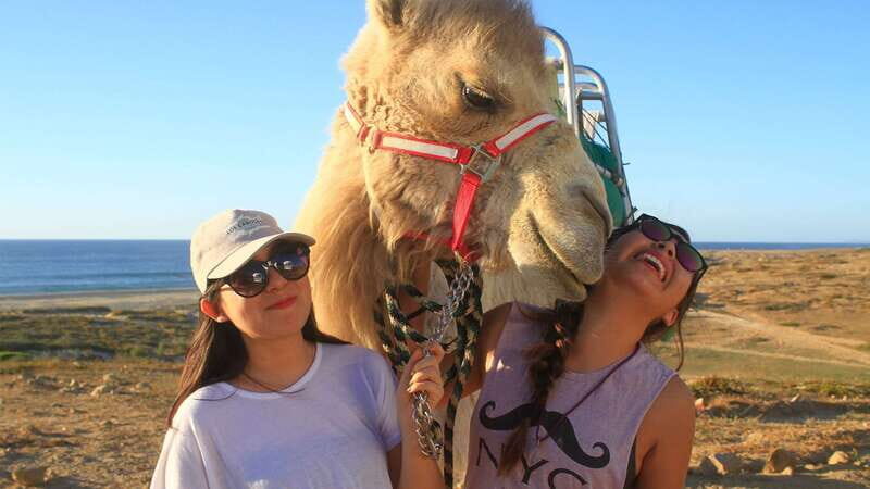 Los Cabos: Desert & Sea Camel Safari Tour with Lunch - A Balanced Look at the Los Cabos Camel Safari Tour