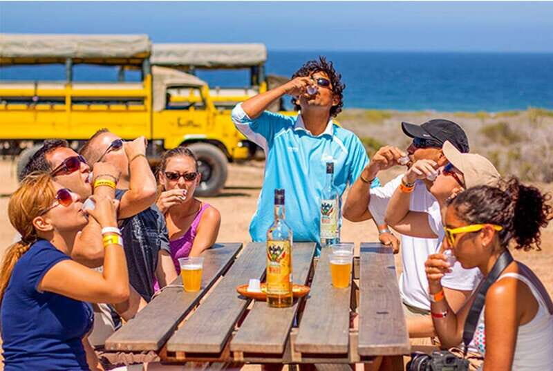 Los Cabos: Desert & Sea Camel Safari Tour with Lunch - Who Should Consider This Tour?