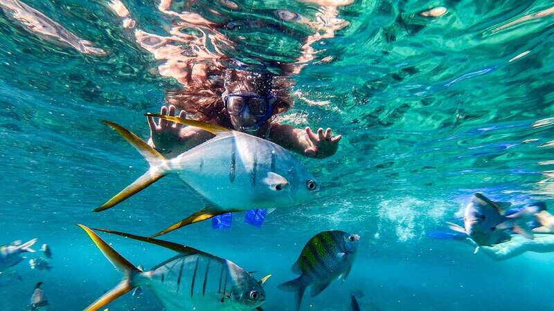 Los Cabos: El Arco, Chileno Beach, and Tequila Tasting Tour - A Complete Look at the Tour Experience