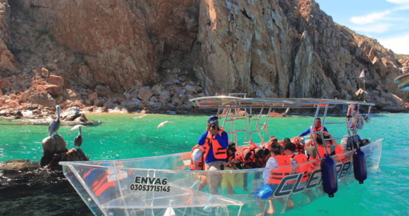Los Cabos: Get to know the arch on the iconic transparent boat tour - Introduction: Why This Tour Is Worth Your Time