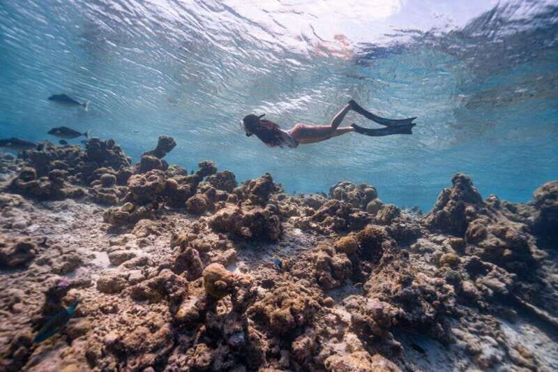 Los Cabos: Glass-Bottom Kayak and Snorkel Tour at Two Bays - What to Expect on This Tour