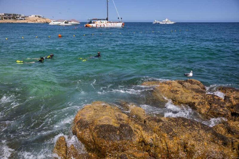 Los Cabos: Guided Snorkeling Tour with Transportation - Exploring the Los Cabos Guided Snorkeling Tour with Transportation